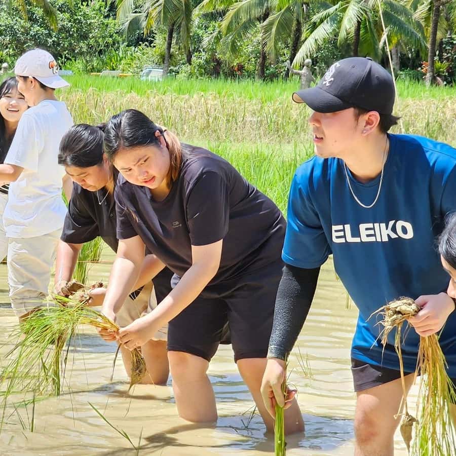 Old Phuket Farm Ticket - Countryside Local Life Culture | GetYourGuide