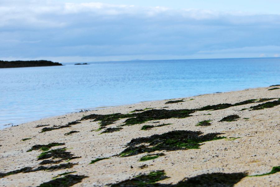 Isle of Skye: Portree to Fairy Pools Smartphone Guide | GetYourGuide