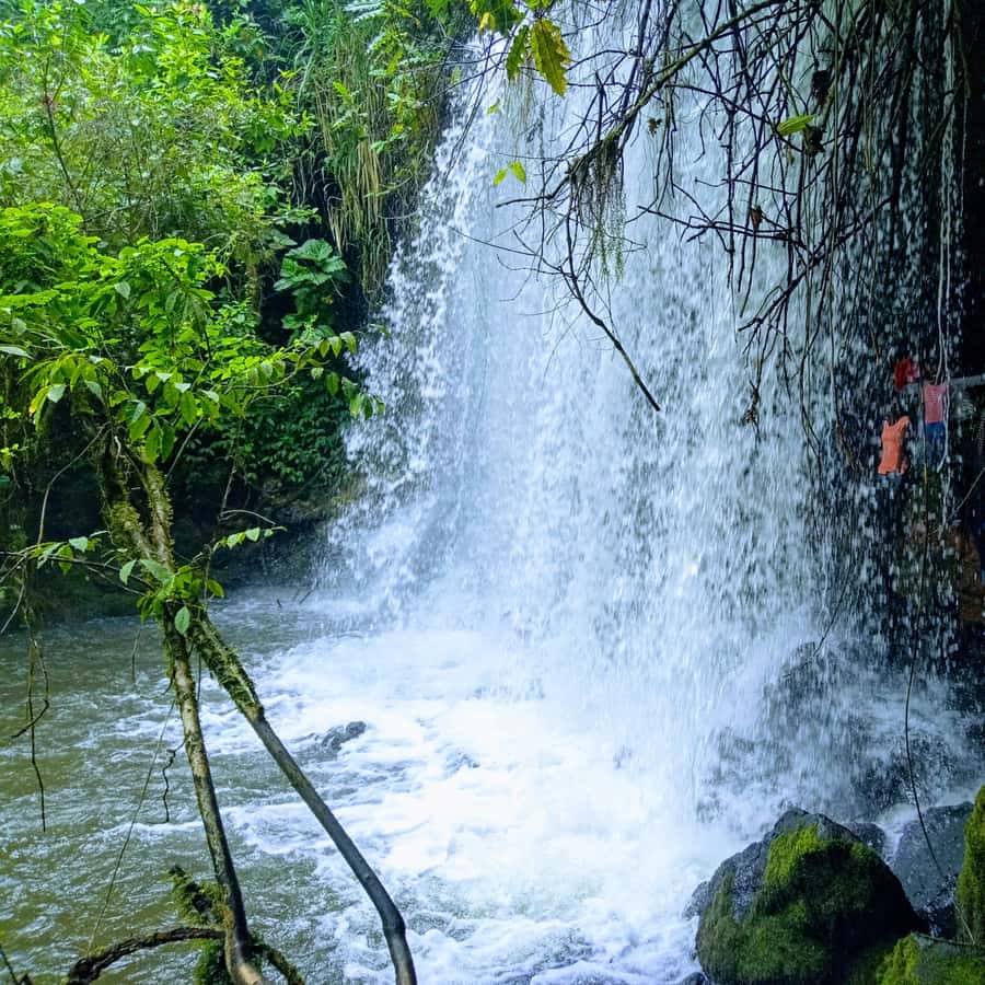 Fort Portal: Amabere Caves, Crater Lakes, and Palace Tour | GetYourGuide