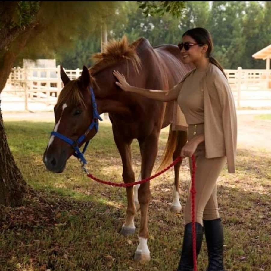 From Riyadh: Nofa Wildlife Park Private Day Trip | GetYourGuide