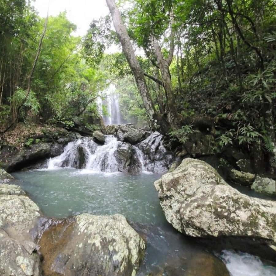 Nadi: Waterfall Tour Adventure with Refreshments and Lunch | GetYourGuide