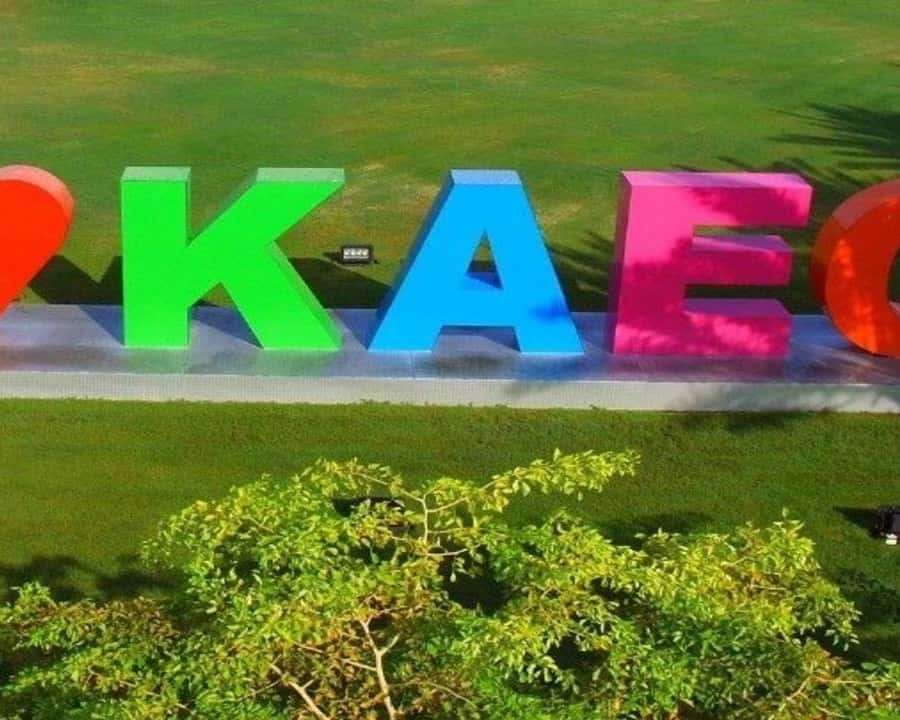 Jeddah to KAEC: Experience the City of the Future - جدة