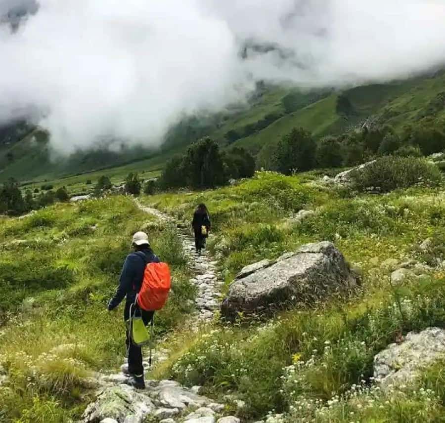 Vanuit Haridwar: Bloemenvallei & Uttarakhand 3-daagse tour | GetYourGuide