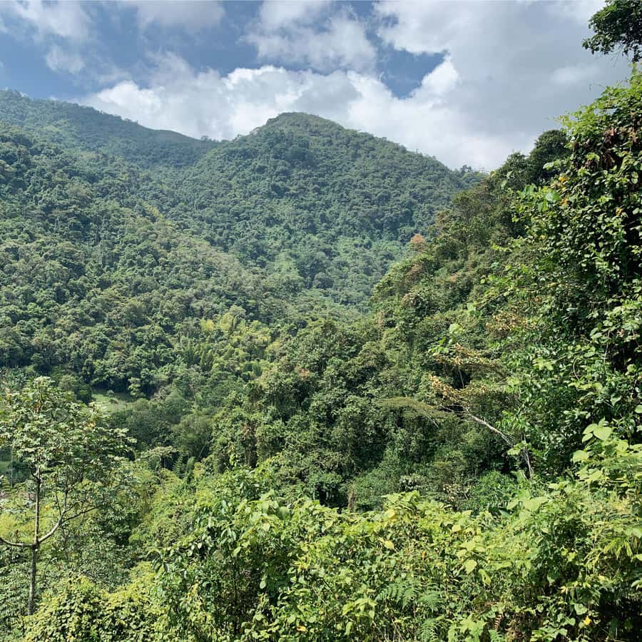 Cali: Recorrido por la Cascada del Río Pance - Chorrera del Indio ...
