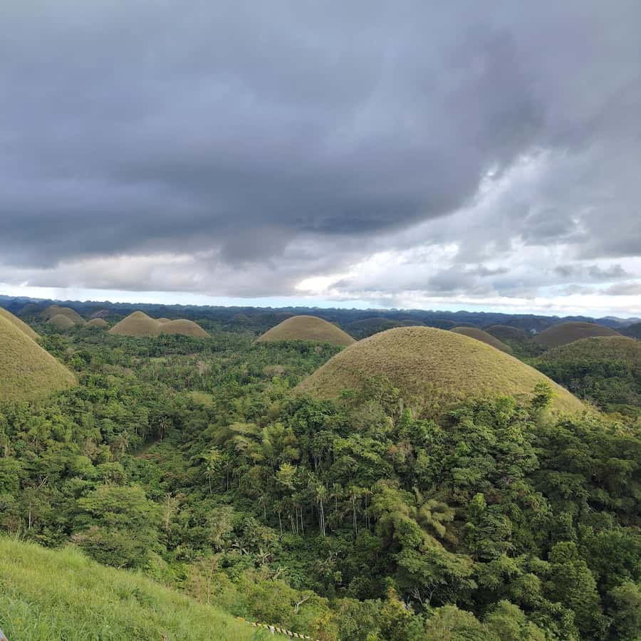 BOHOL: Chocolate Hills, Tarsiers and Loboc River Day Tour | GetYourGuide