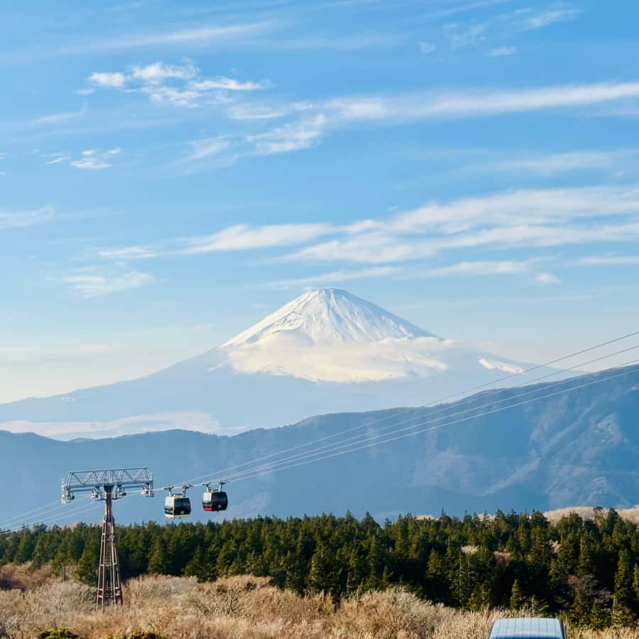 Hakone Hot Springs & Lake Ashi Cruise – Day Trip from Tokyo | GetYourGuide