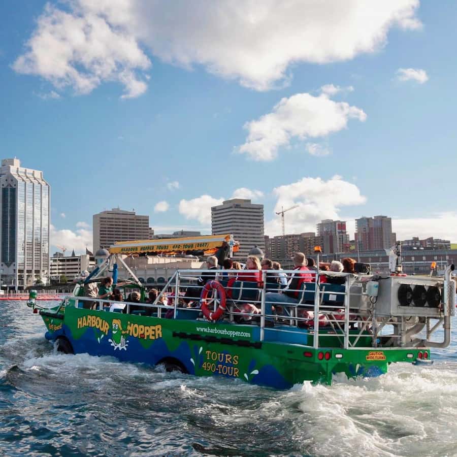 Halifax: Harbour Hopper City & Water Cruise in a Duck Boat | GetYourGuide