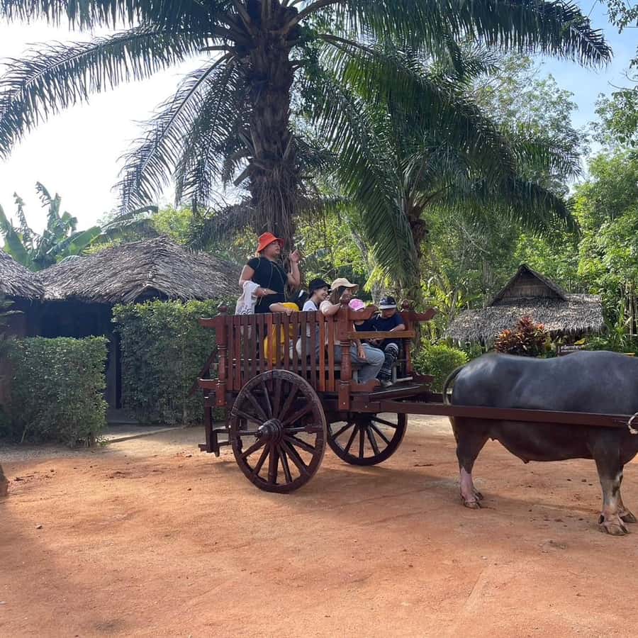 Old Phuket Farm Ticket - Countryside Local Life Culture | GetYourGuide