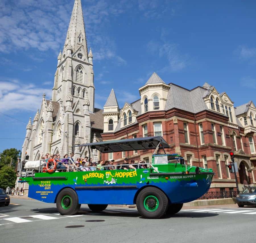 Halifax: Harbour Hopper City & Water Cruise in a Duck Boat | GetYourGuide