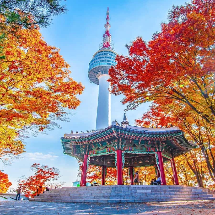 Seoul: N Seoul Tower Observatory & Cable Car Combo Ticket | GetYourGuide