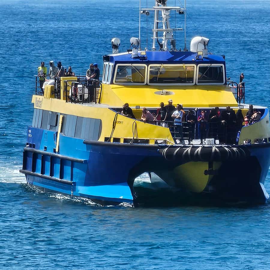 Cape Town: 1 saatlik Waterfront Tekne Turu | GetYourGuide