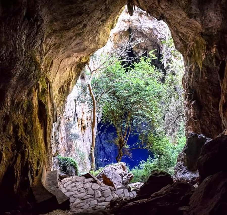 Zimbabwe: Chinhoyi Caves Tour with Lion Viewing and Lunch | GetYourGuide