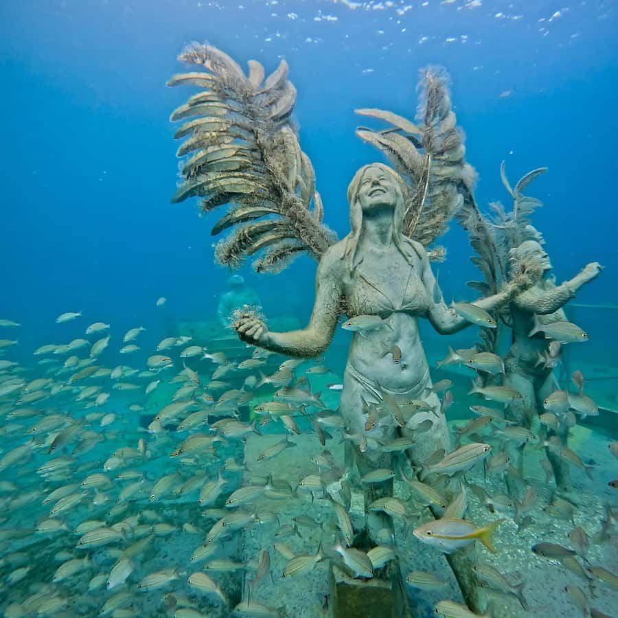 Sint Maarten: Underwater Sculpture Park Snorkel Adventure | GetYourGuide