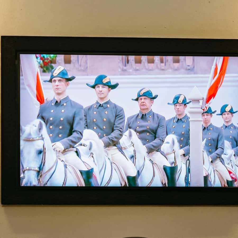 Vienna: Spanish Riding School Stables Guided Tour | GetYourGuide