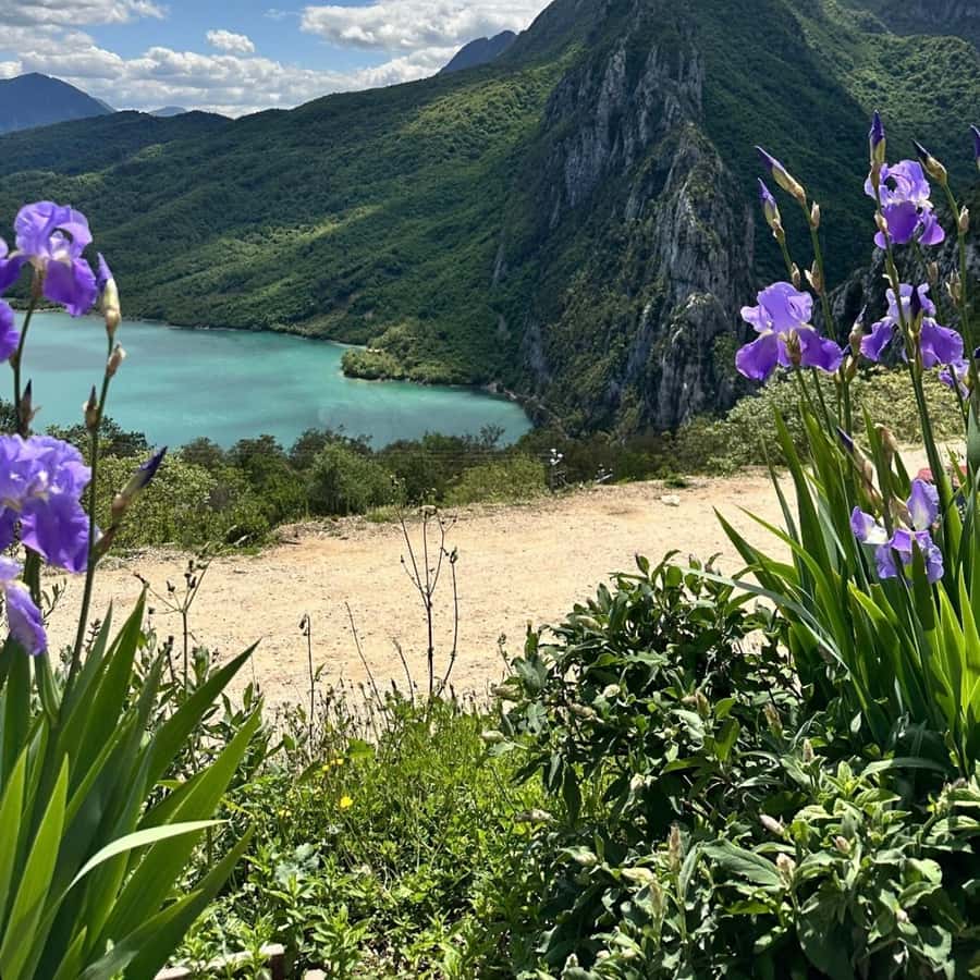 From Tirana To Bovilla Lake & Gamti Mountain Hiking Tour | GetYourGuide