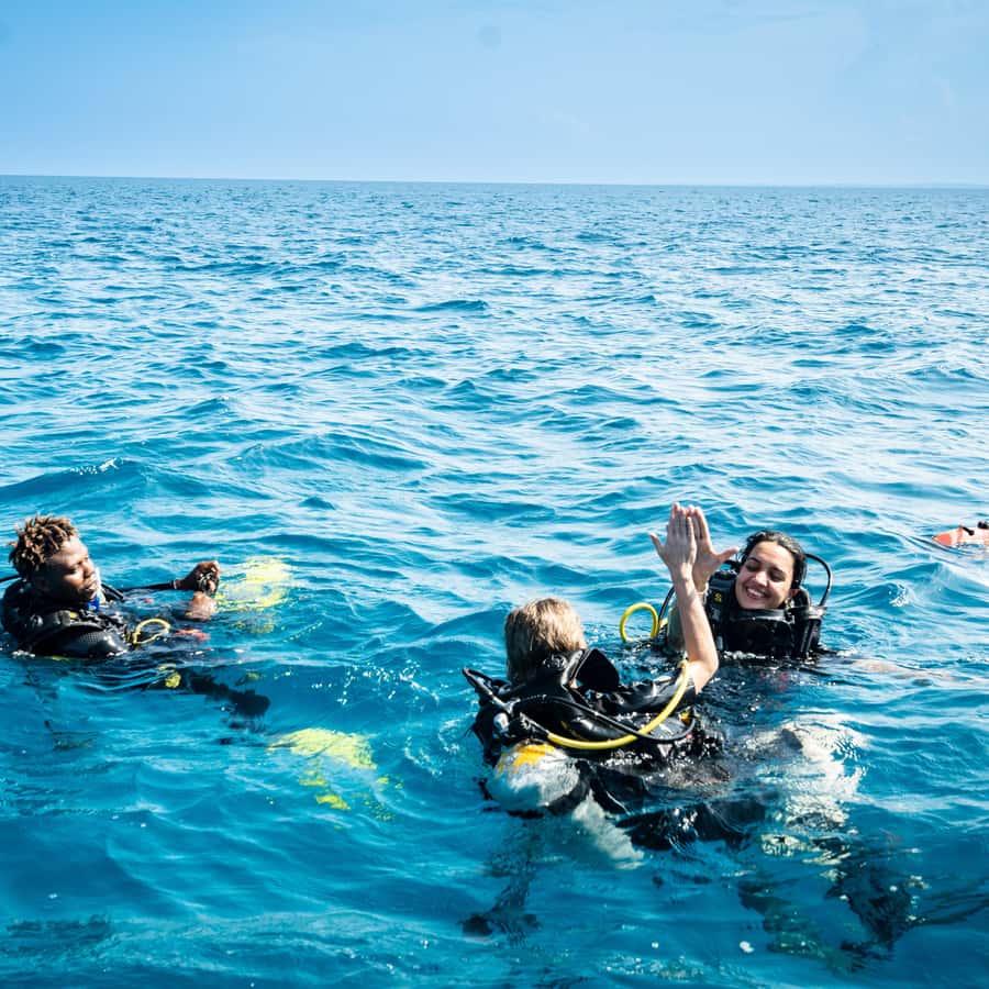 Zanzibar 5 Days Scuba Diving ten dive: blue trip experience | GetYourGuide