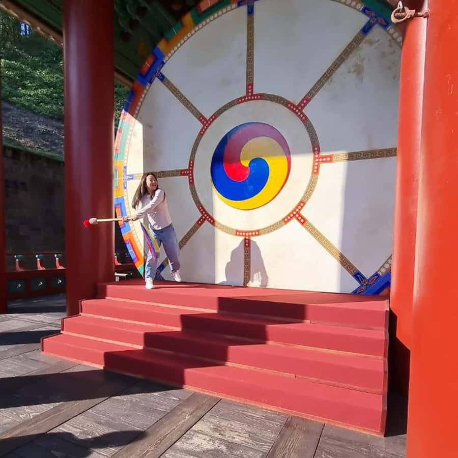 Da Seul: Escursione di un giorno a Yeongdong con degustazione di vini e ...