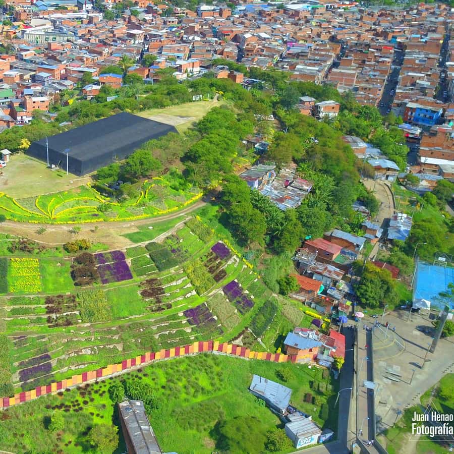 Comuna 4 - Moravia Tour | GetYourGuide