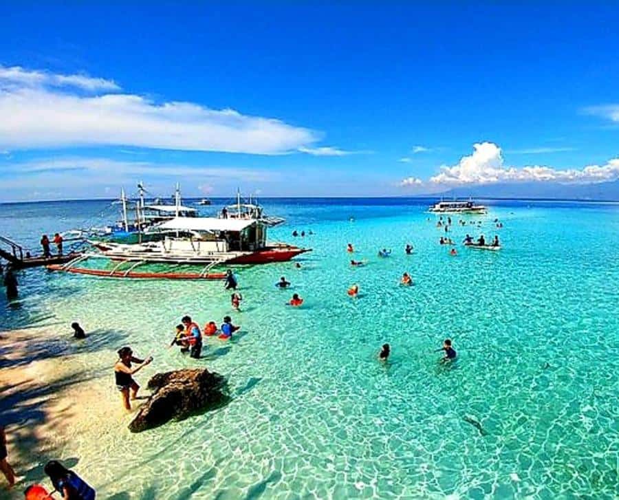 Mactan Island Hopping Gilutungan, Caohagan, Nalusuan + Lunch | GetYourGuide