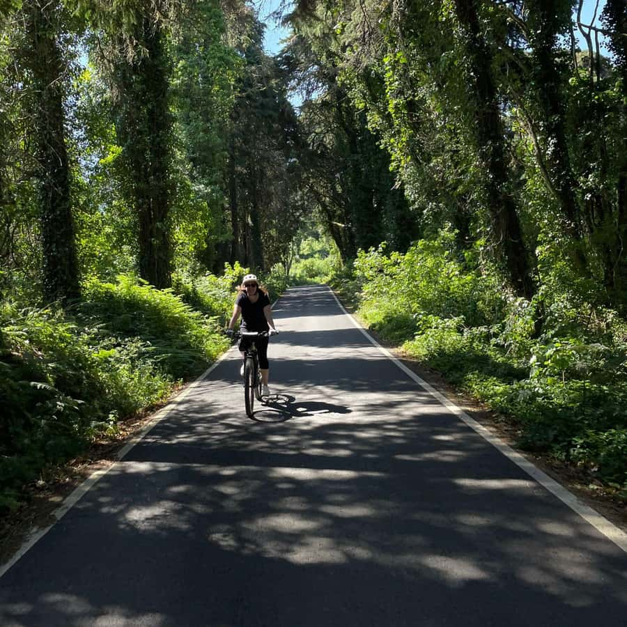 Cascais-Sintra E-bike Tour: Coast & Countryside Adventure | GetYourGuide