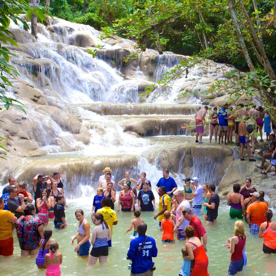 Montego Bay: excursión a las cataratas del río Dunn y la cueva Green ...
