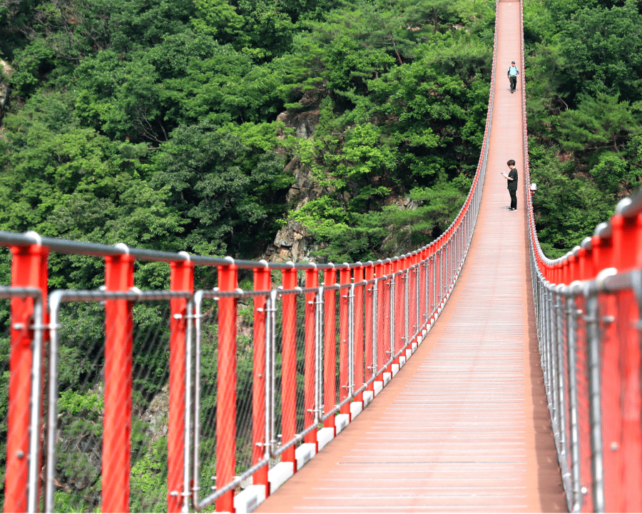 Seoul: DMZ The 3rd Tunnel and Suspension Bridge Tour | GetYourGuide