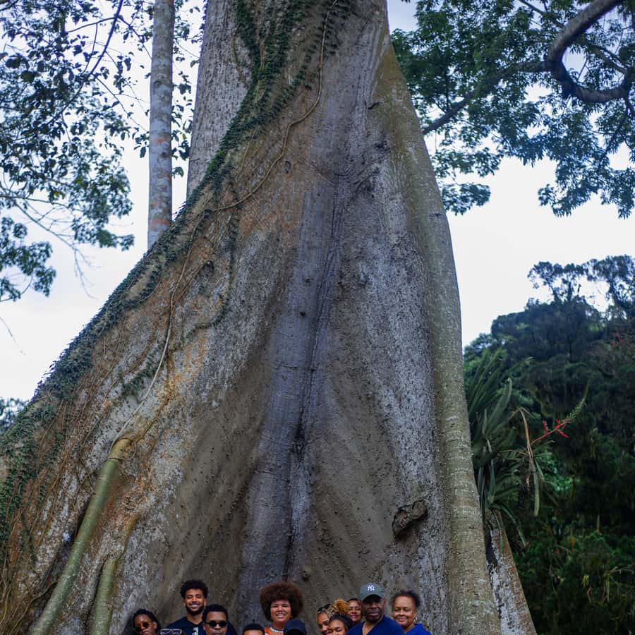 Experience Boti Twin Waterfalls, Umbrella Rock, 3H-Palm Tree | GetYourGuide