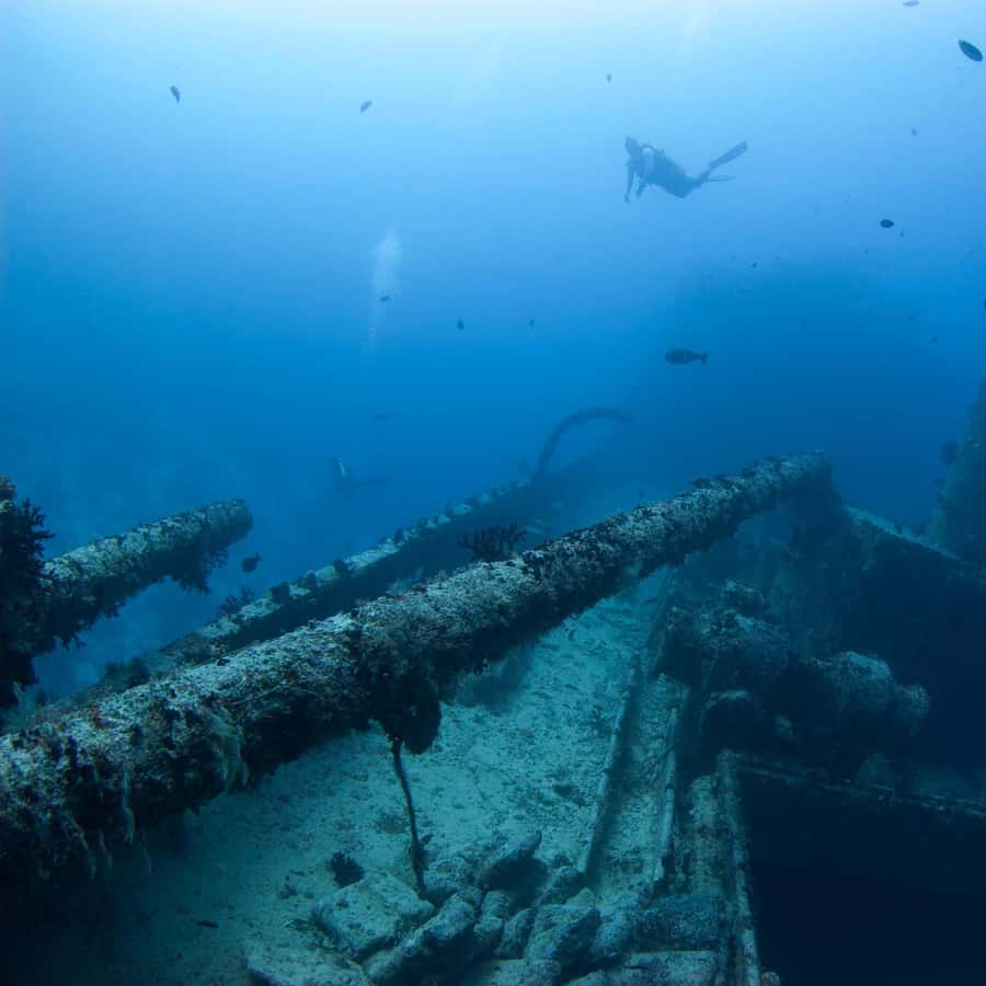 Maldives: Victory Shipwreck Scuba Dive | GetYourGuide