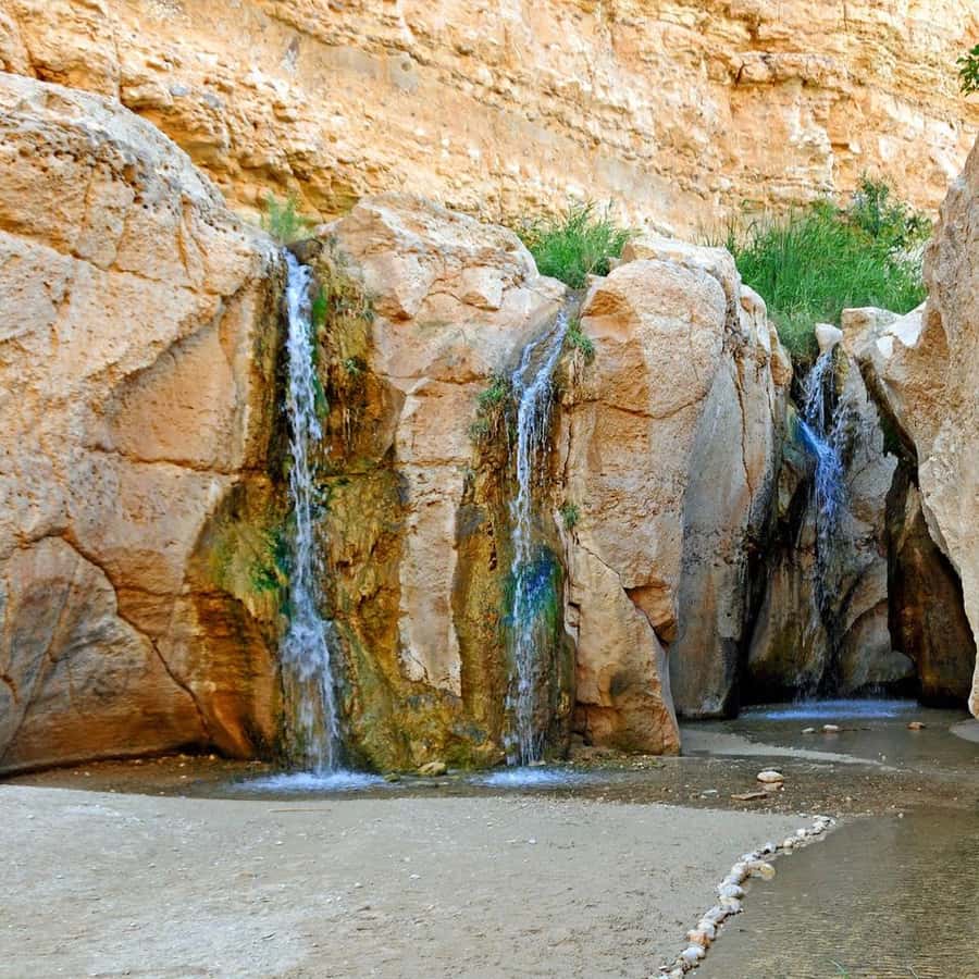 Au départ de Tunis : visite nocturne de 2 jours dans le désert avec ...