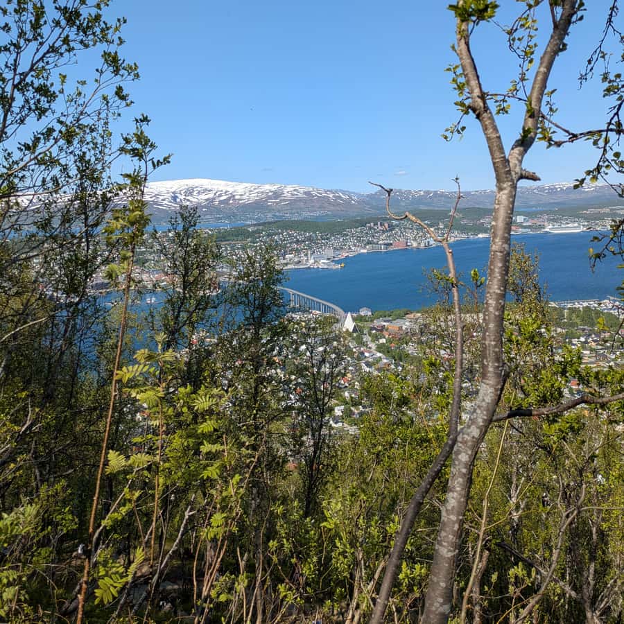 Tromsø: Hike 1203 steps of Sherpa stairs with a local legend | GetYourGuide