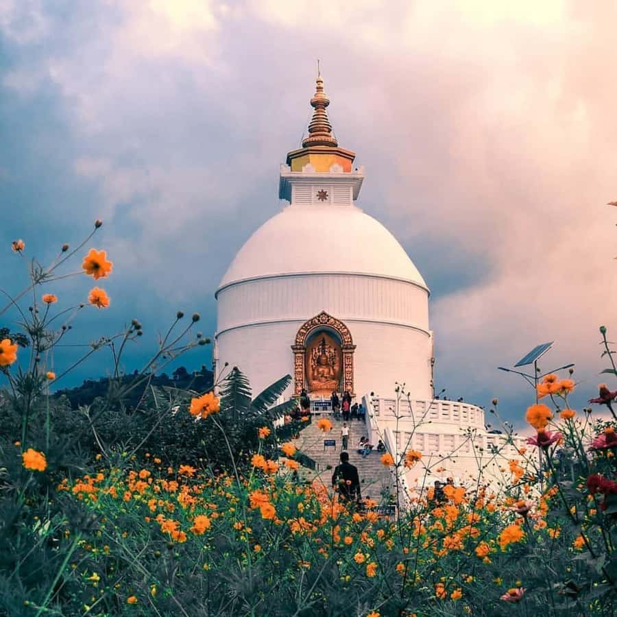 Private Sightseeing Tour of Pokhara city | GetYourGuide