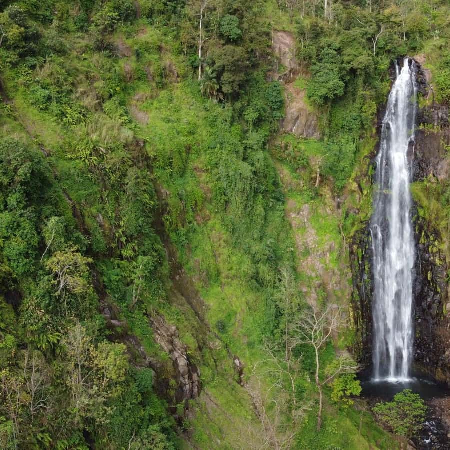 Chemka Hot Springs, Moshi Materuni Waterfalls & Coffee Tour | GetYourGuide