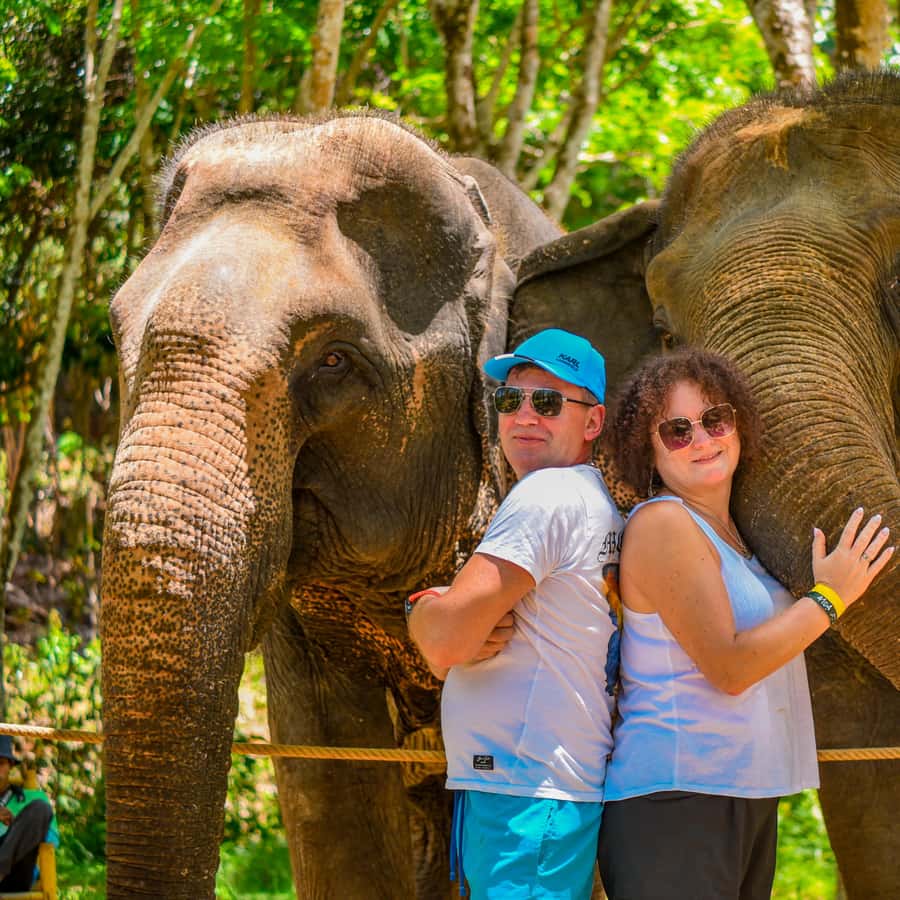 Phuket: Make & Meet The Gentle Giant Experience | GetYourGuide