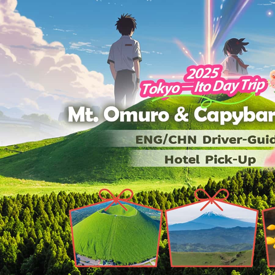 Tokyo:Izu Penisula Train Mt Omuro, Capybara Sightseeing Trip | GetYourGuide