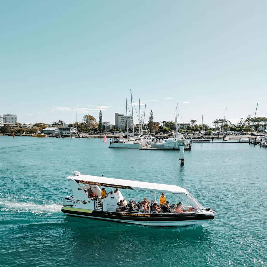 Mooloolaba: Adventure Rafting Turtle Tour | GetYourGuide