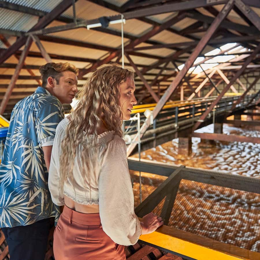 Bundaberg; Bundaberg Rum Distillery Tour und Verkostung | GetYourGuide
