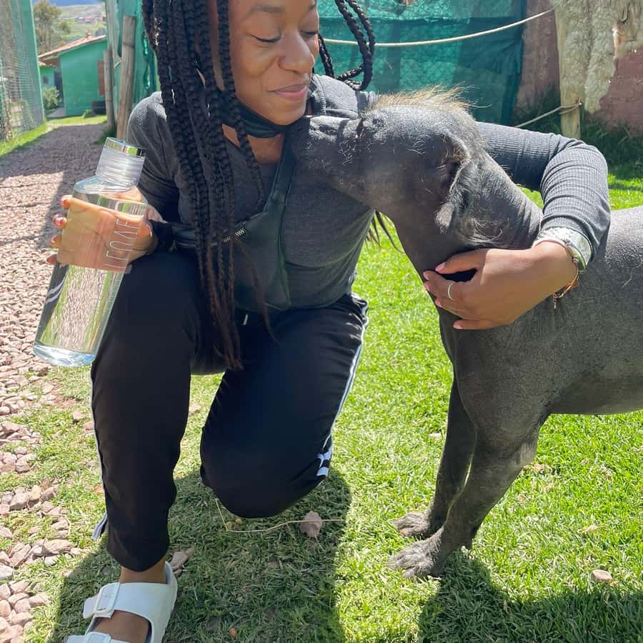 Cusco: Cochahuasi Animal Sanctuary Tour with Rescued Animals | GetYourGuide