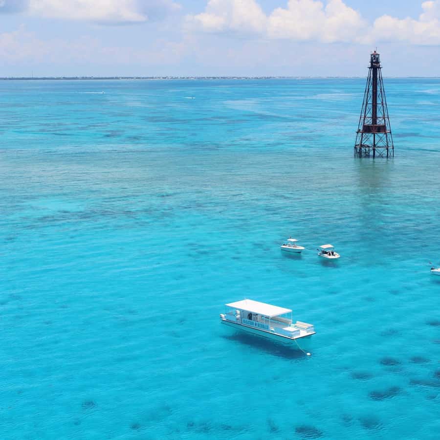 Marathon: Snorkeling Adventure by Boat at Sombrero Reef | GetYourGuide