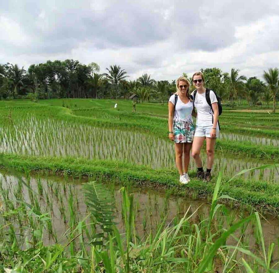 Tetebatu: Rice Fields, Villages, and Waterfalls Tour | GetYourGuide