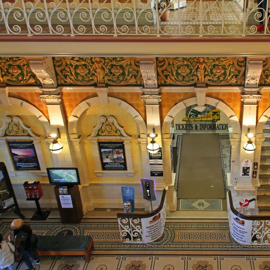 Dunedin City & Otago Peninsula Scenery Day Tour | GetYourGuide