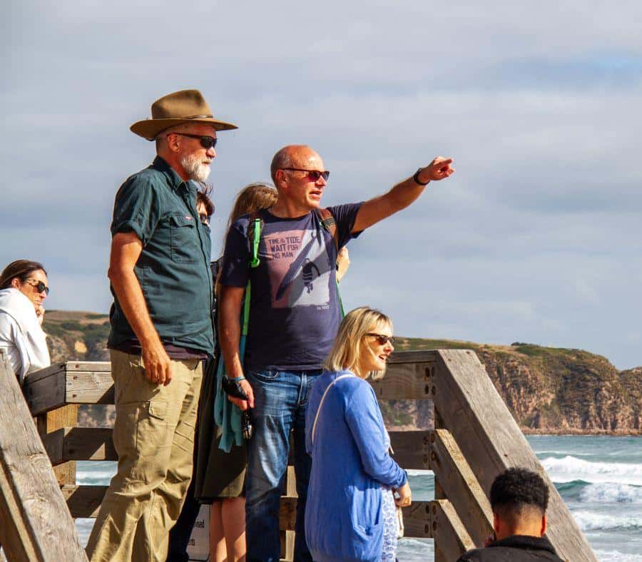 Phillip Island Penguin Parade Afternoon Tour from Melbourne | GetYourGuide