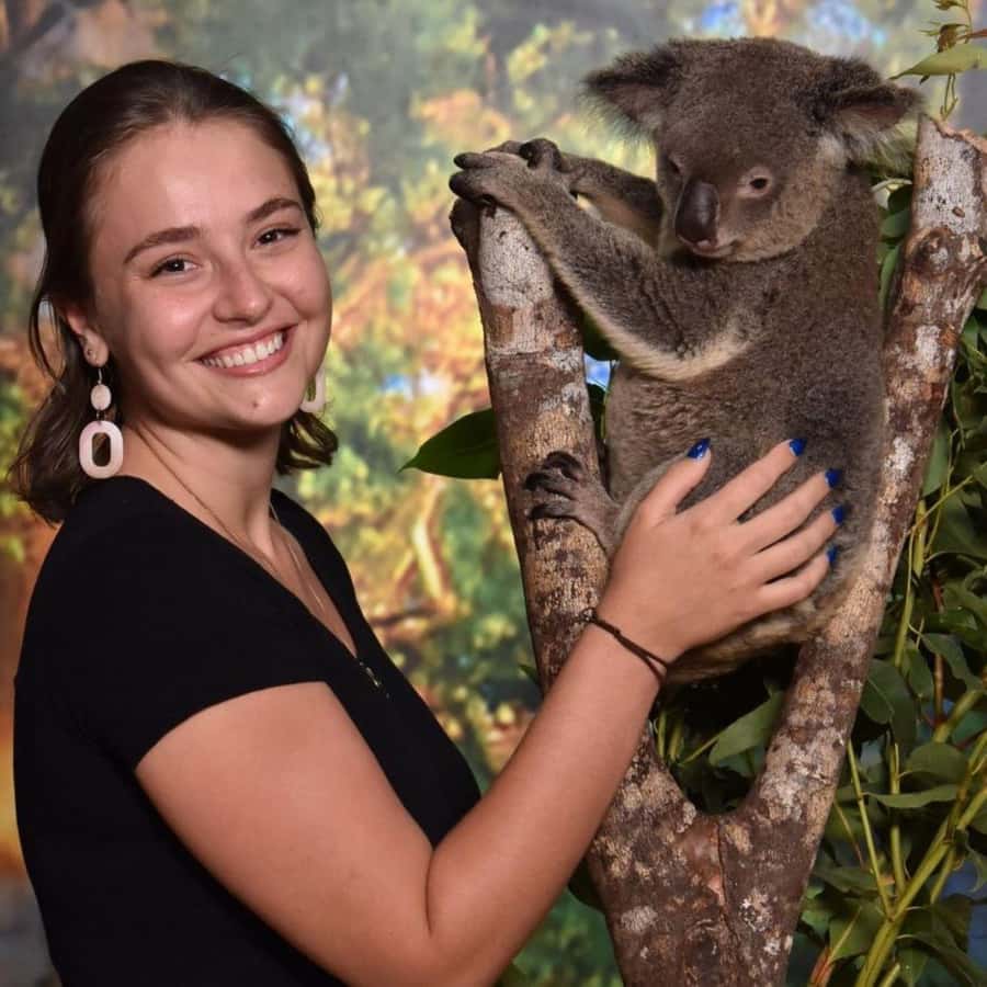 Cairns Koalas and Creatures Entry Ticket with Koala Photo | GetYourGuide