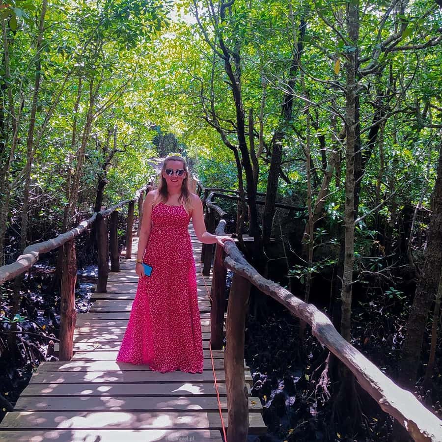 Zanzibar : forêt de Jozani et singes colobes rouges - Réservez dès ...