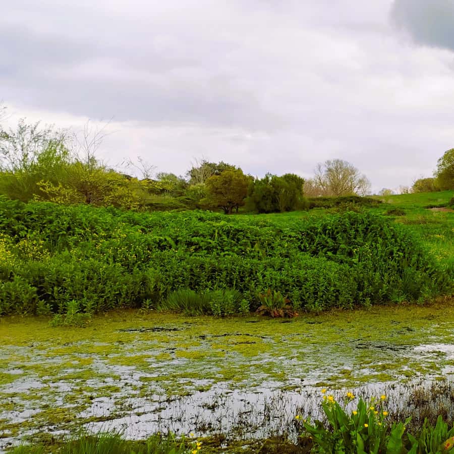 Rome: Caffarella Park Guided Walking Tour | GetYourGuide