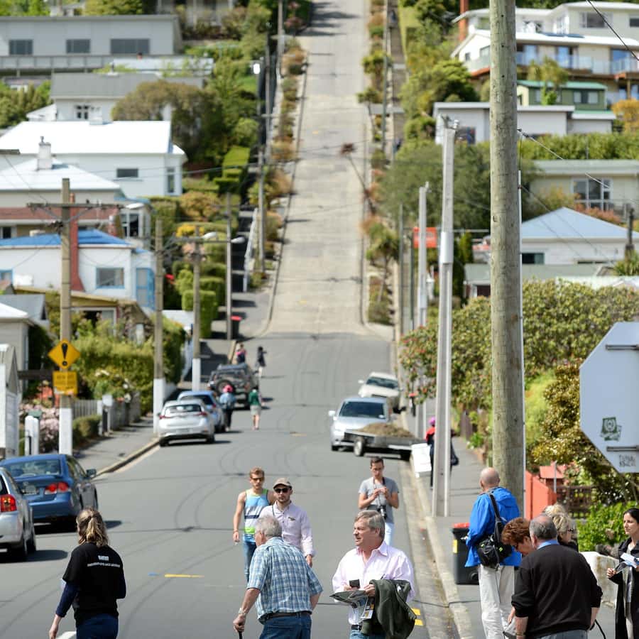 Dunedin City & Otago Peninsula Scenery Day Tour | GetYourGuide