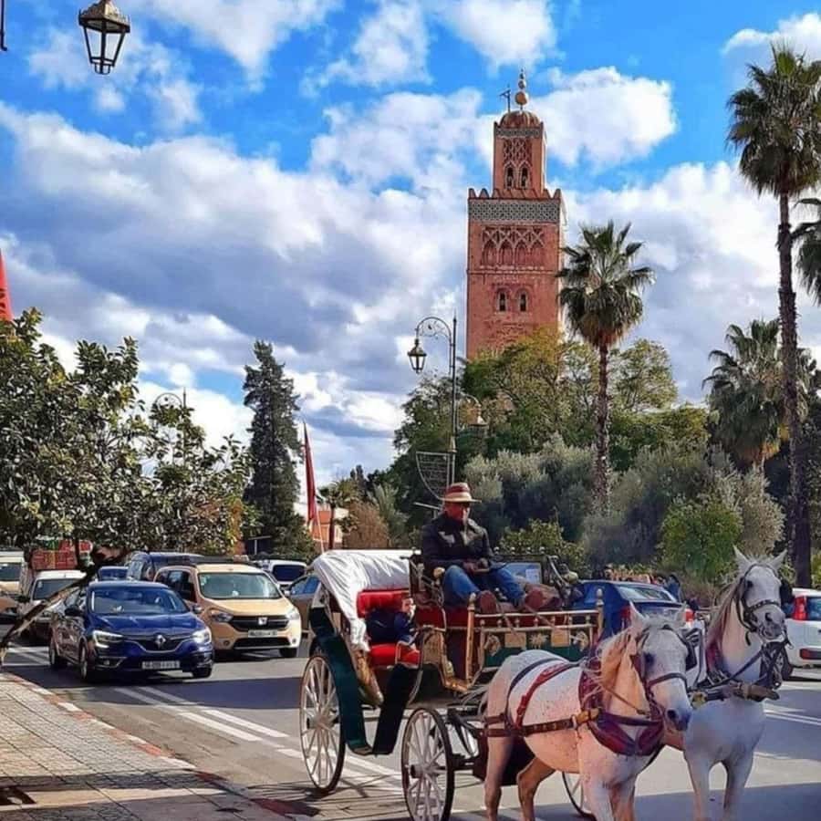 Marrakech : Visite d'une heure en calèche traditionnelle | GetYourGuide
