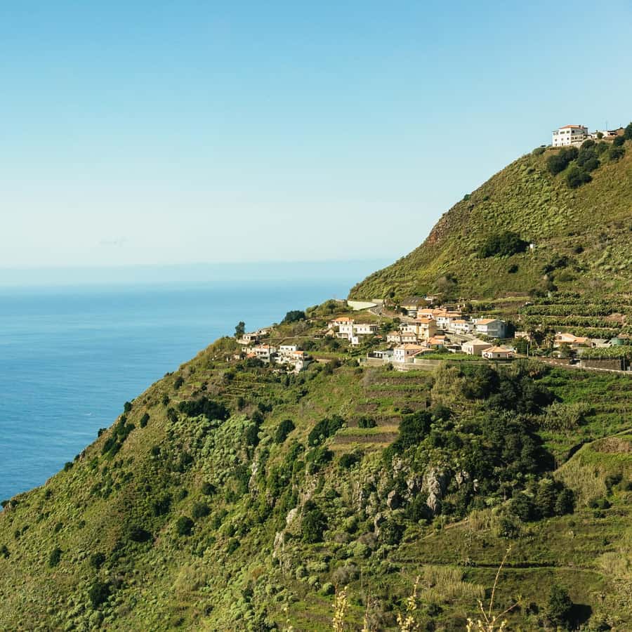 From Funchal: West Madeira and Laurel Forest Day Trip | GetYourGuide