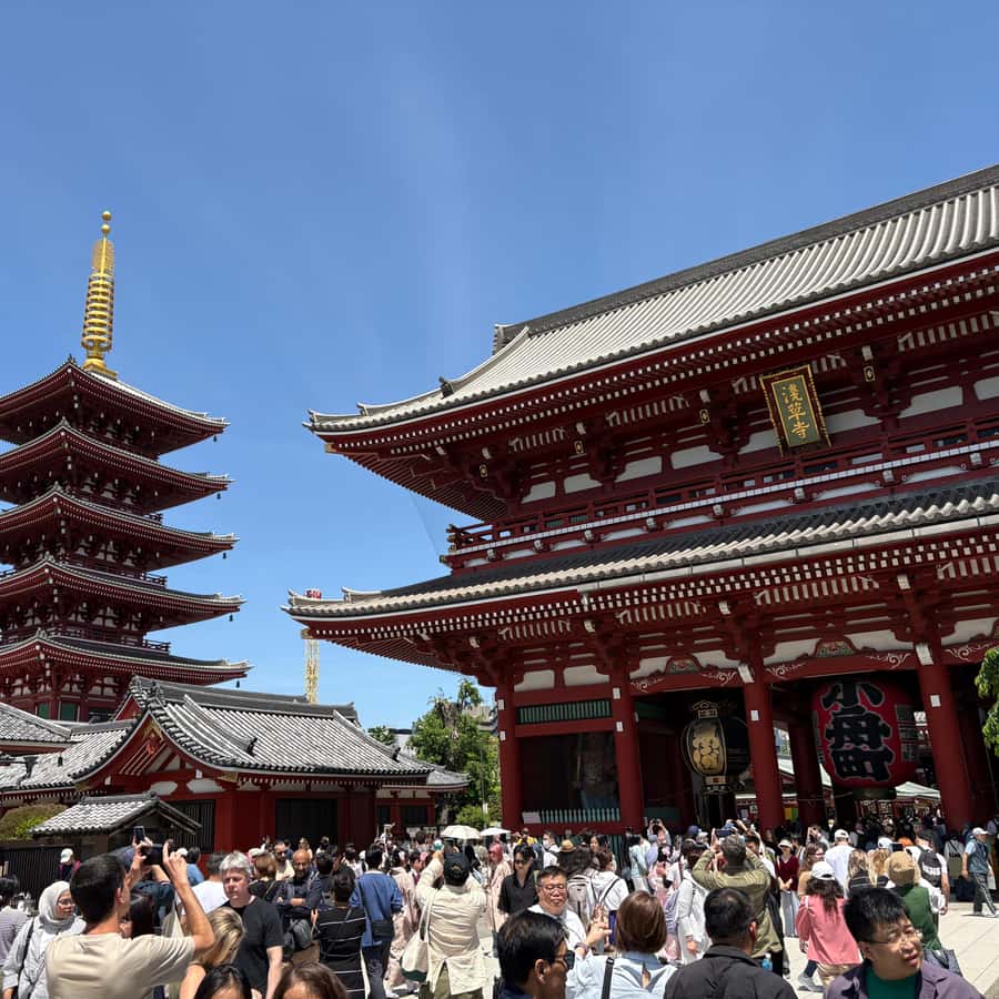 Tokio: tour privado de medio día en coche con guía local | GetYourGuide