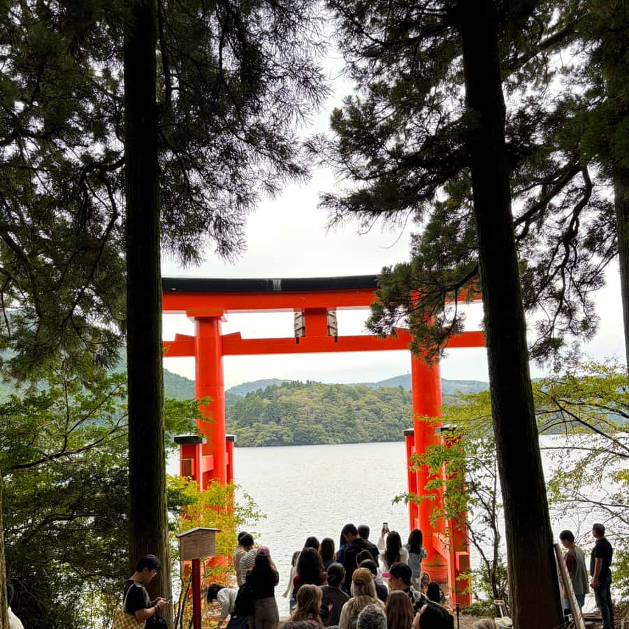 Tokio: Hakone heiße Quelle & Ashi-See-Bootsfahrt mit privatem Auto ...