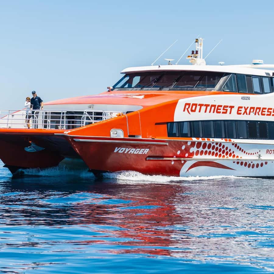 From Perth: Rottnest Island Ferry & Bus Day Tour | GetYourGuide